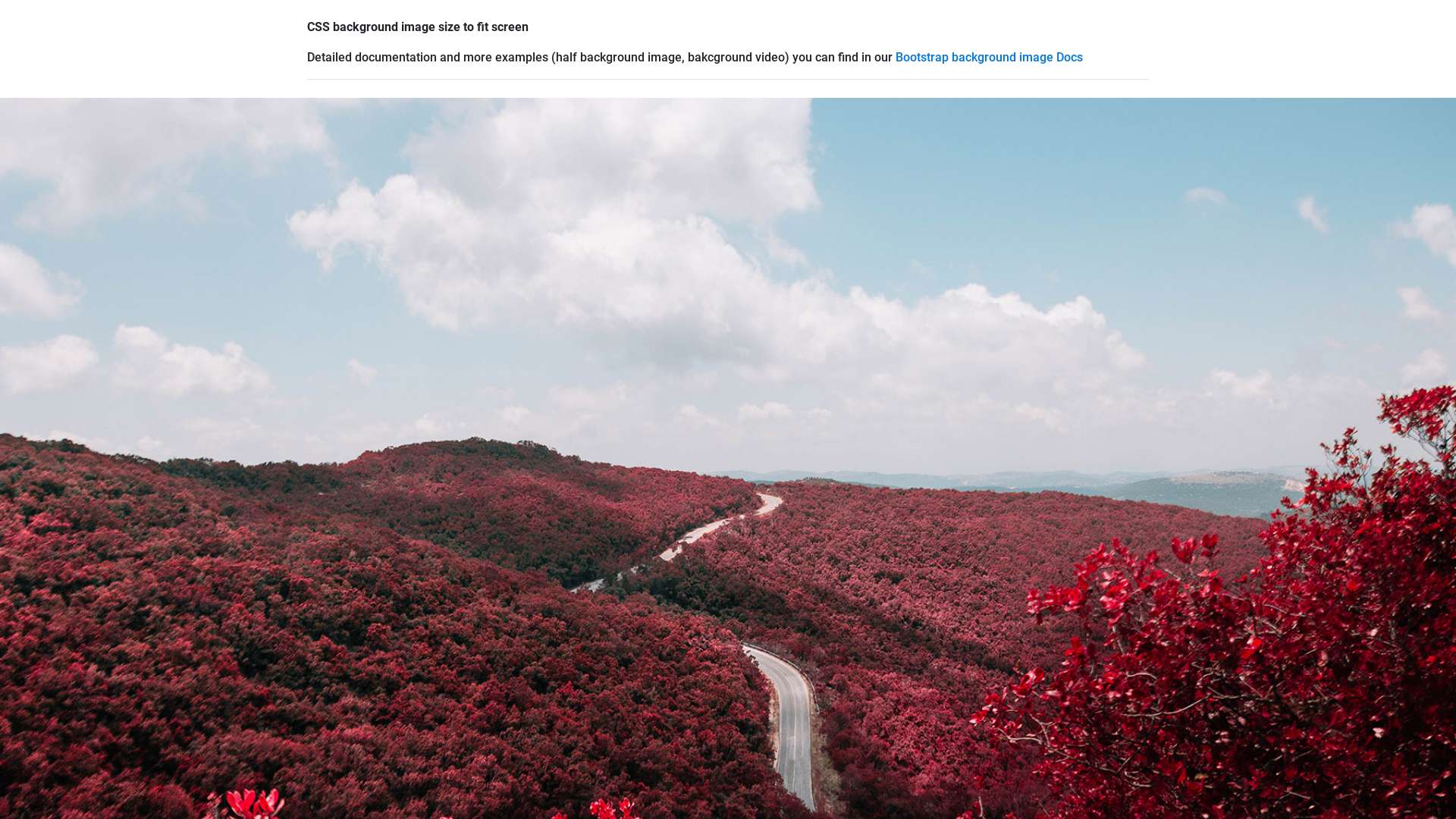 Background Image Size To Fit Screen